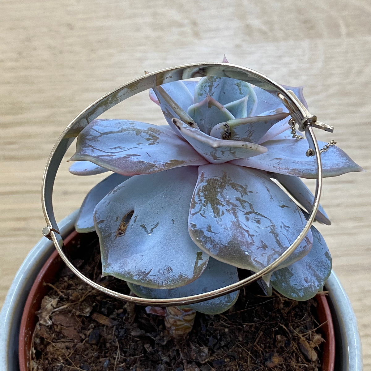 Preloved 9ct Yellow Gold Metal Core Engraved Bangle – James Bishop ...